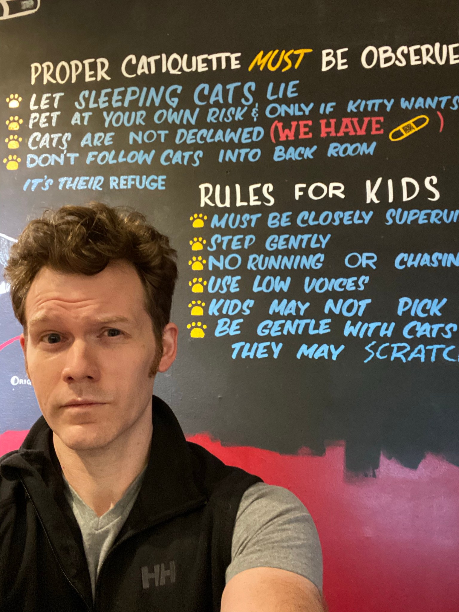 Autistic People are Cat People? – The Life Autistic